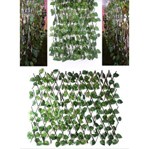 Duvar Halısı ve Örtüsü Modelleri ve Fiyatları